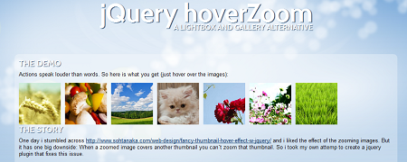 カーソルを合わせると画像がズームするjQueryプラグイン「hoverZoom」 | WEBデザイン Memonga